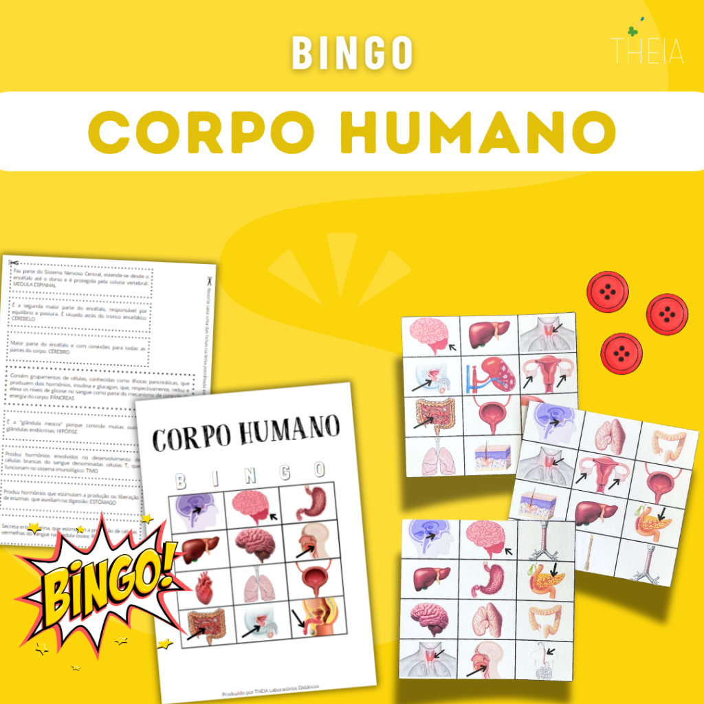 Bingo – Corpo Humano – Theia Didáticos